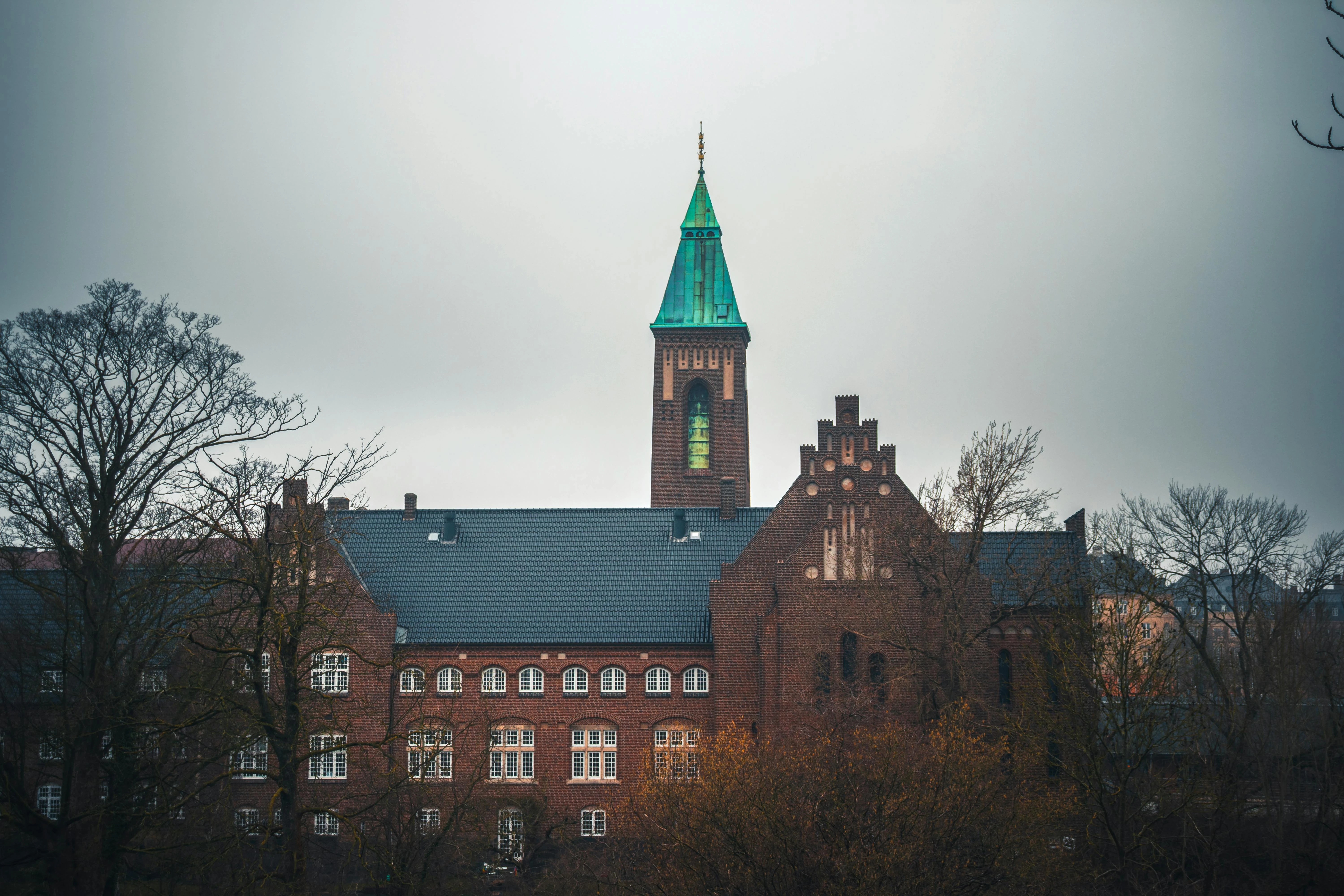 How to Read Danish Children’s Books for Language Learning