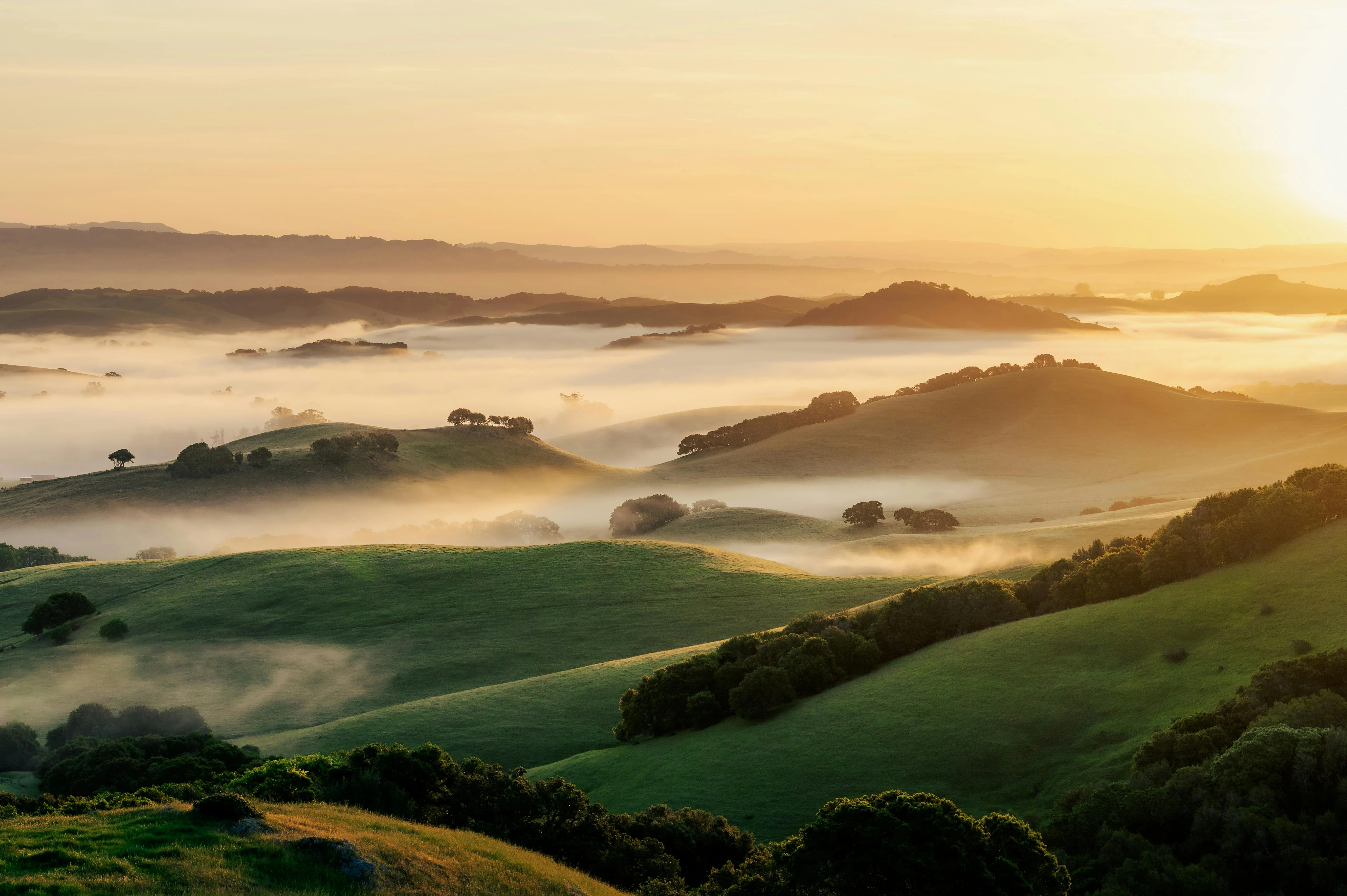 The Most Beautiful Hebrew Words to Describe Nature