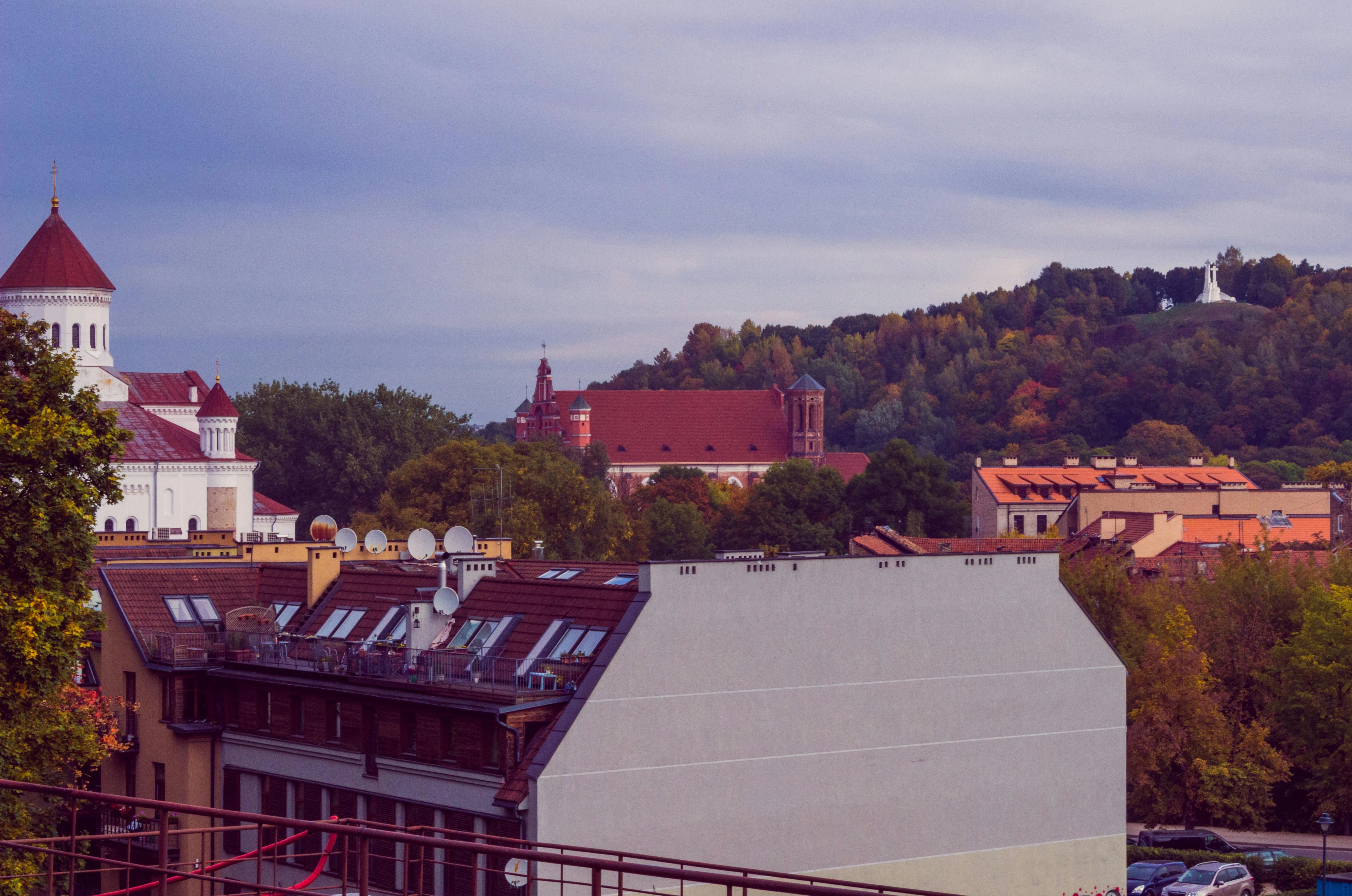 Common Lithuanian Family Terms and How to Use Them